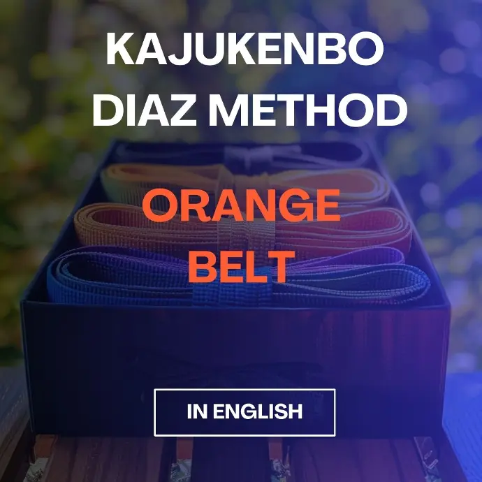 KajuKenBo Course - Orange Belt | Kajukenbo KSDI France